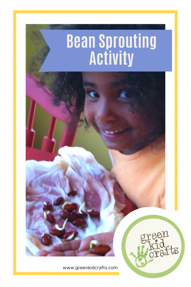 Bean Sprouting Activity – Green Kid Crafts