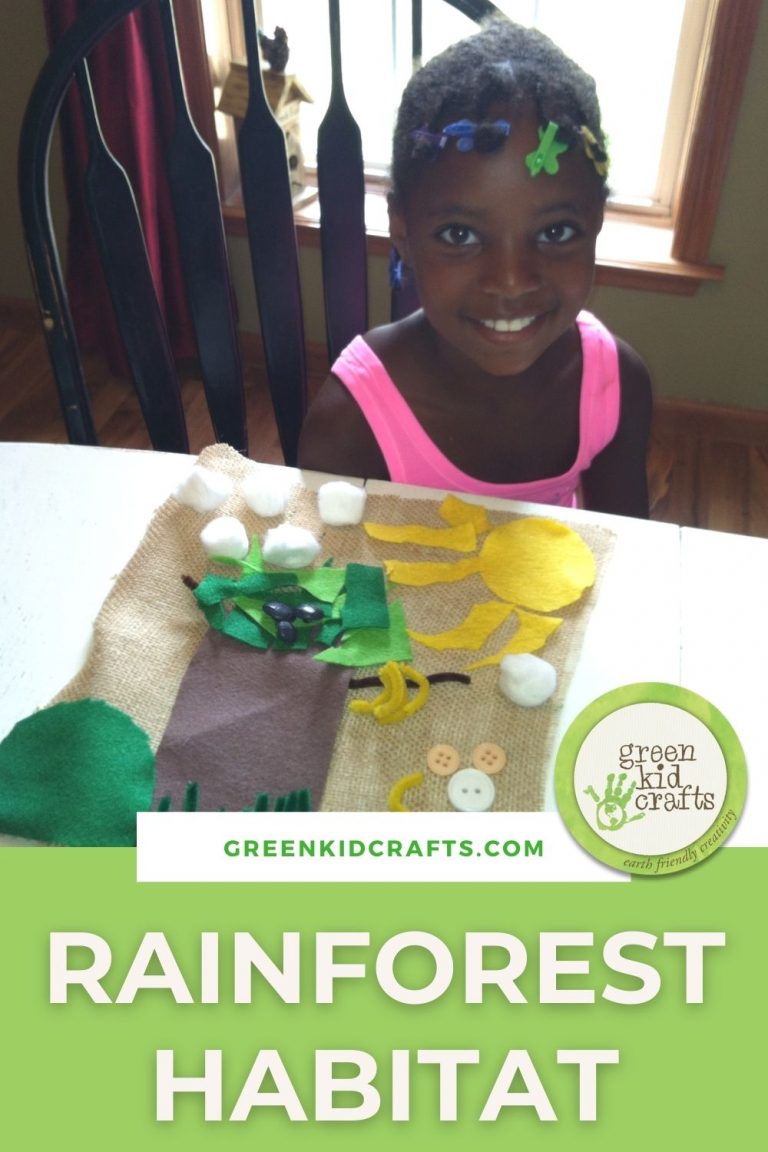 Rainforest Science – Green Kid Crafts