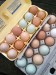 Egg Walk Experiment – Green Kid Crafts