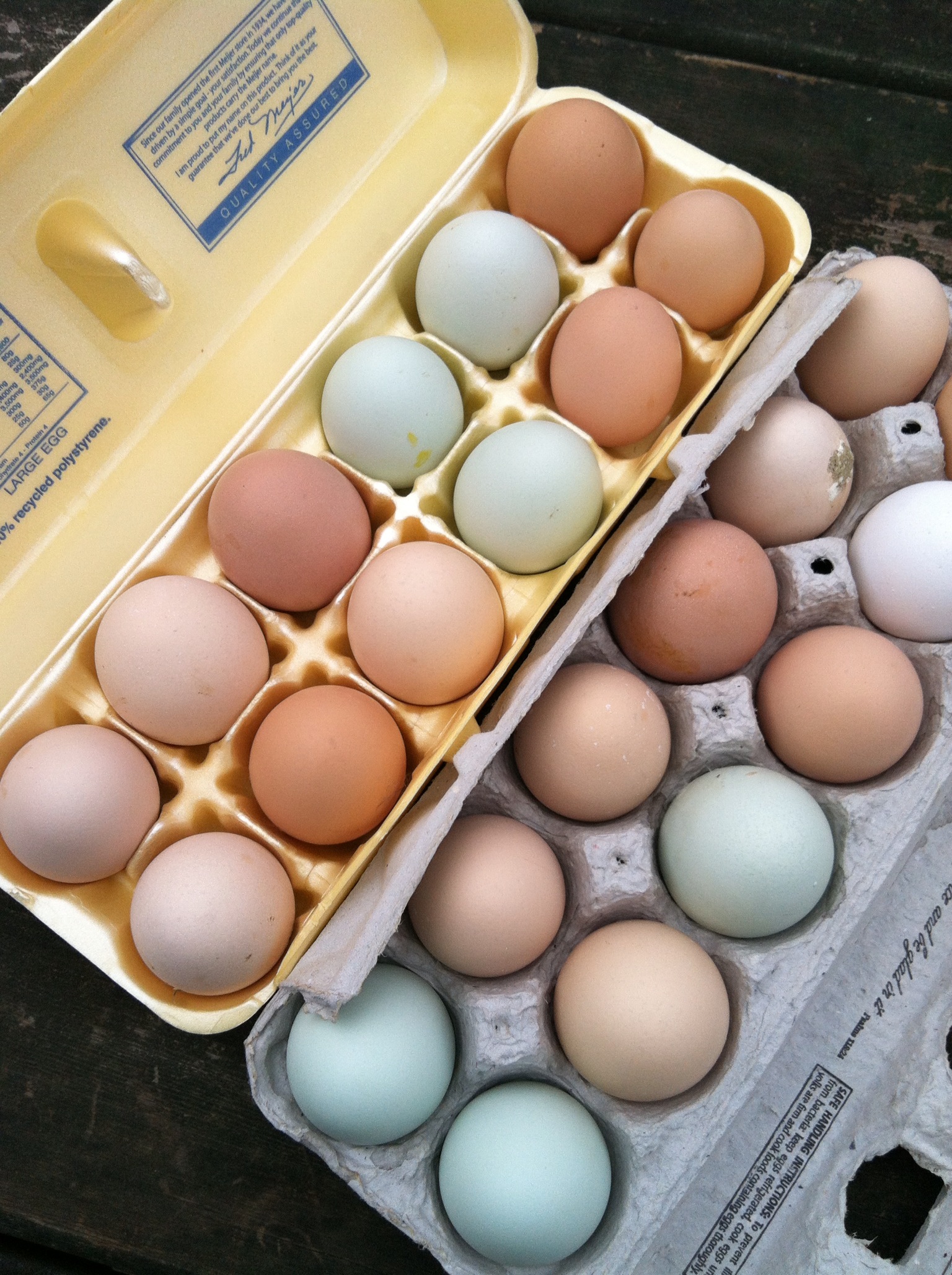 Egg Walk Experiment – Green Kid Crafts