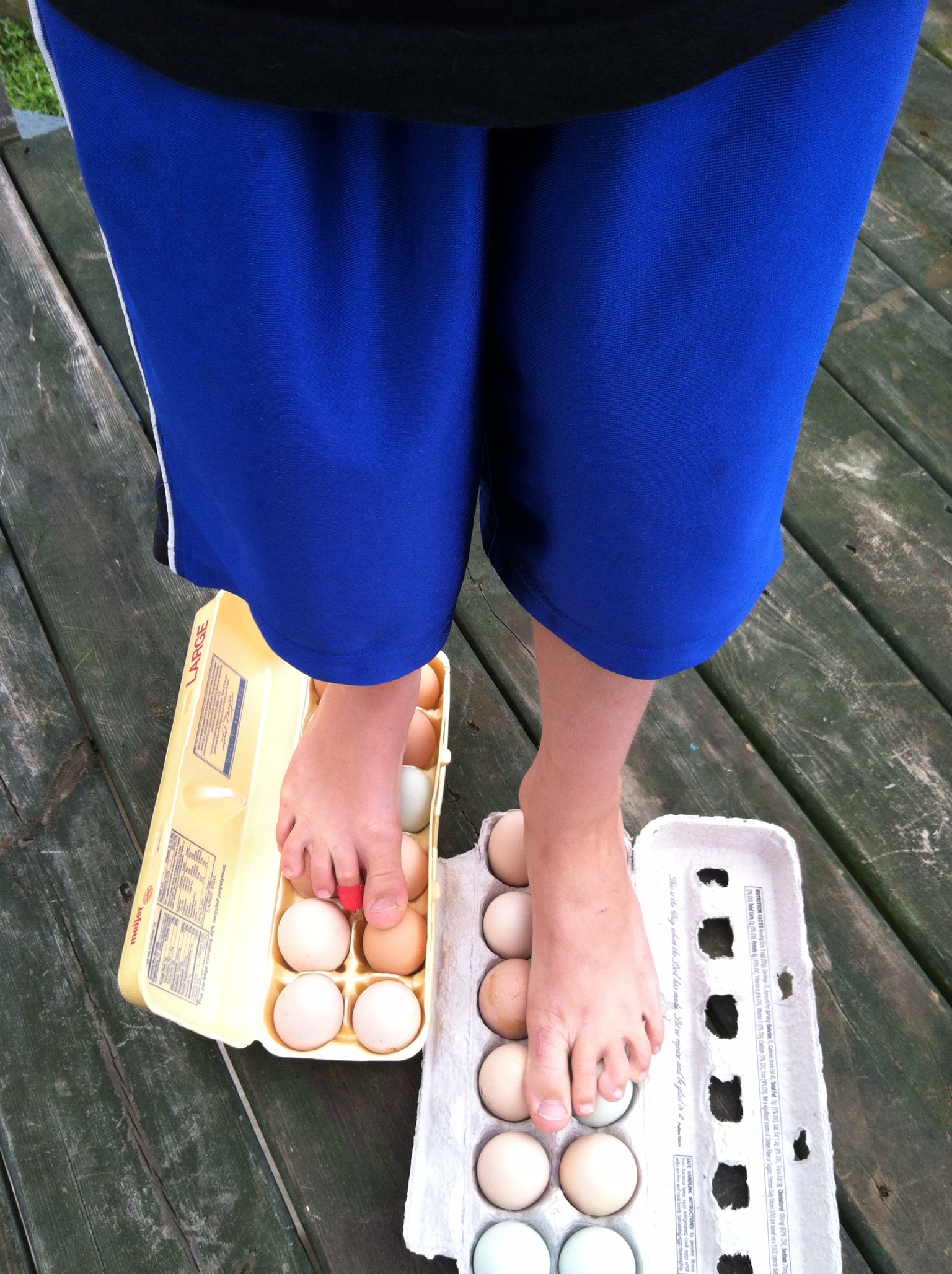 Egg Walk Experiment – Green Kid Crafts