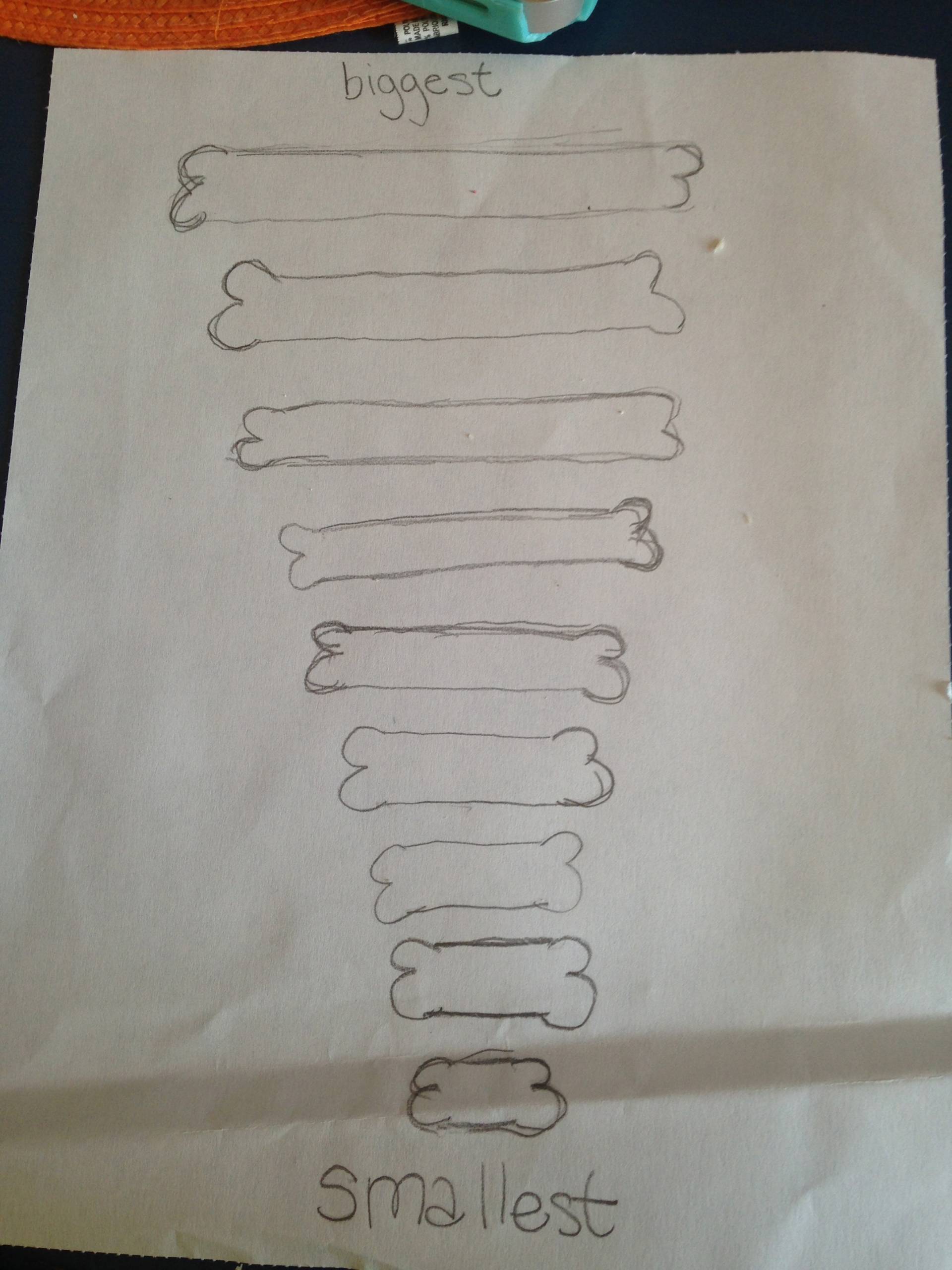 Dinosaur Bones Excavation Project – Green Kid Crafts