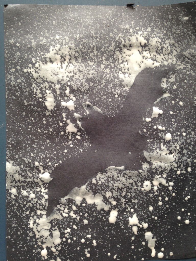 6 Nocturnal Animal Crafts – Green Kid Crafts