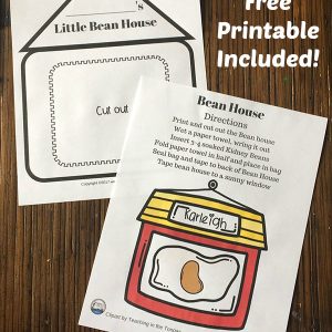 Printable Bean House Seed Sprouting Activity – Green Kid Crafts