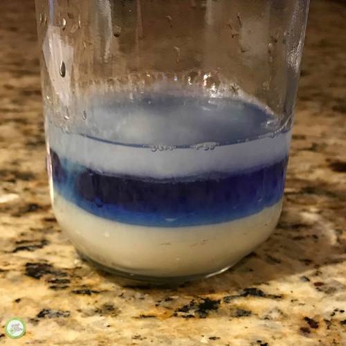 Fun Science: Layering Liquids Density Experiment for Kids – Green Kid ...