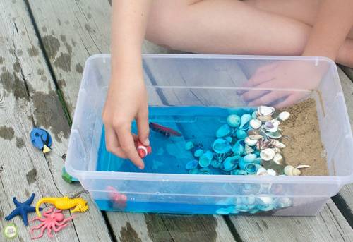 Create an Ocean Sensory Bin for Kids – Green Kid Crafts