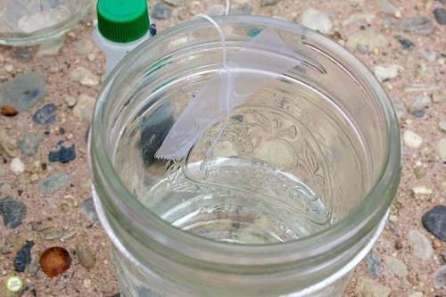 Water Science: Making Water Travel on a String – Green Kid Crafts