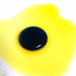 Water Surface Tension Experiment for Kids – Green Kid Crafts