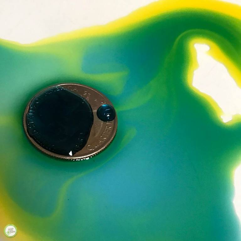 Water Surface Tension Experiment for Kids – Green Kid Crafts