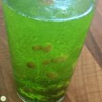 Magic Jumping Beans Experiment For Kids – Green Kid Crafts