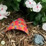 DIY Toad House made from a Broken Clay Pot – Green Kid Crafts