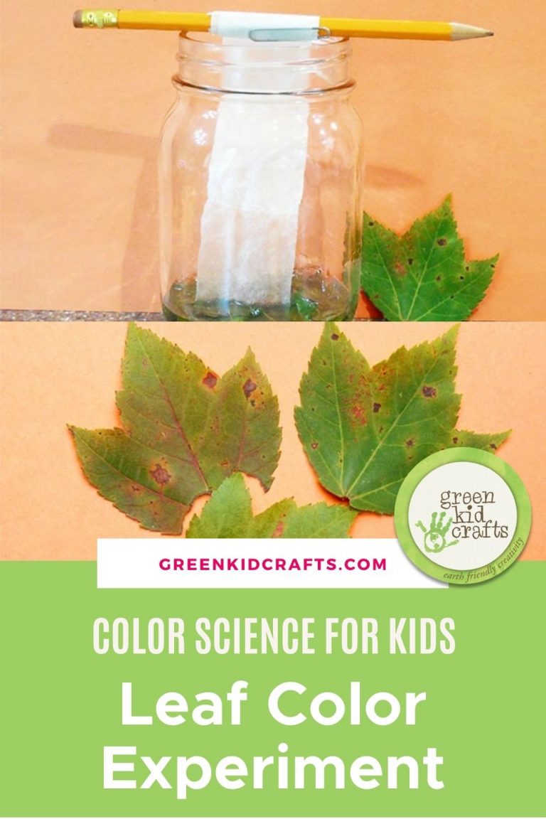 Leaf Color Experiment-Color Science for Kids – Green Kid Crafts