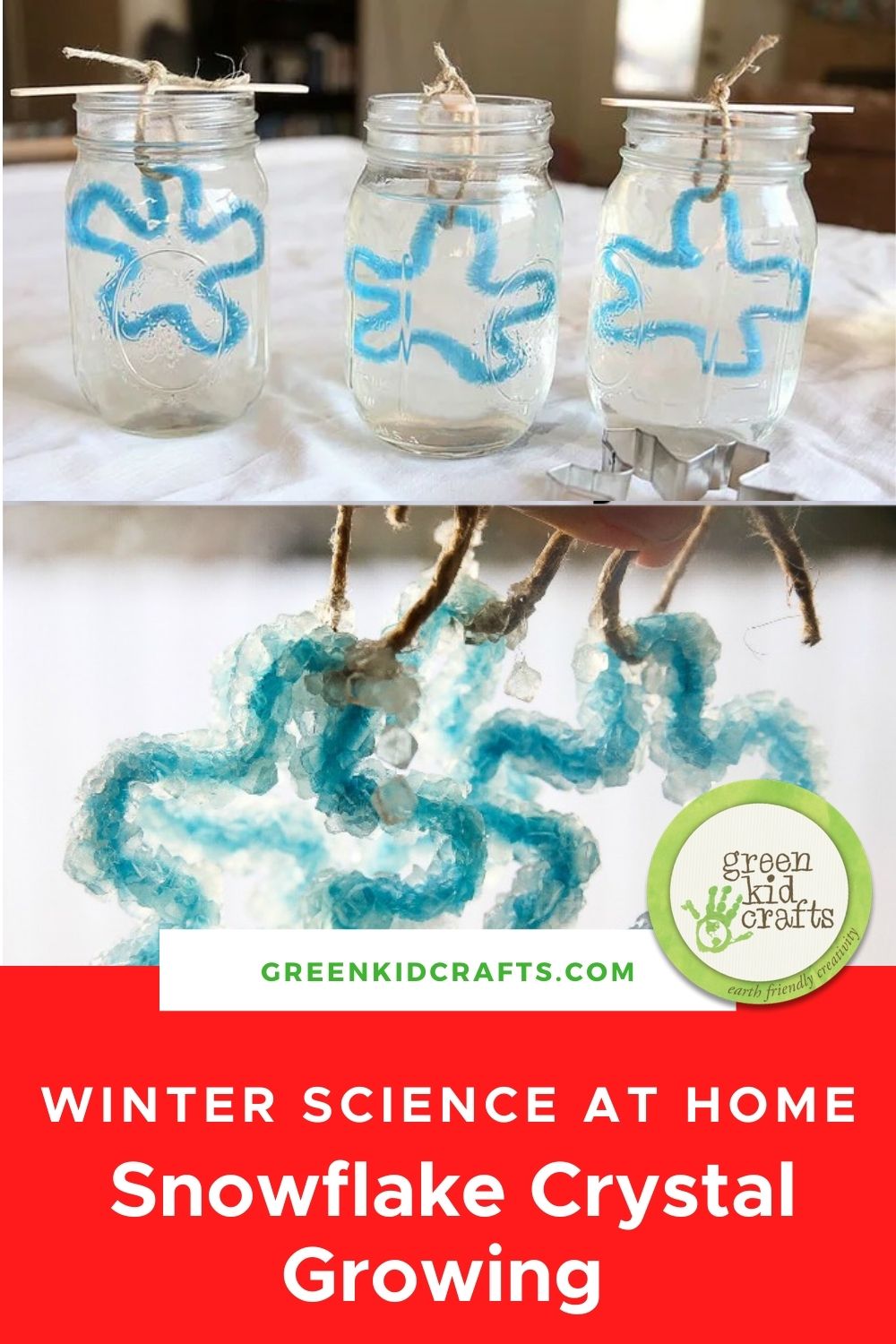 Winter Science at Home Snowflake Crystal Growing – Green Kid Crafts