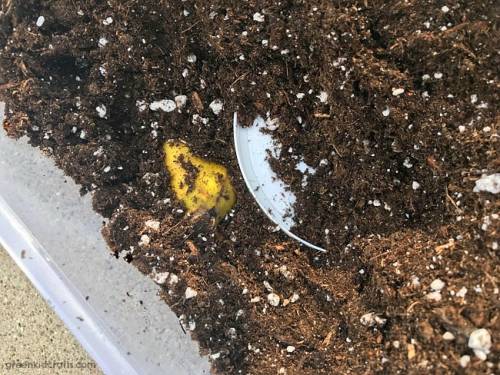 Earth Day Science! Learning about Landfills Where Does Our Trash Go ...