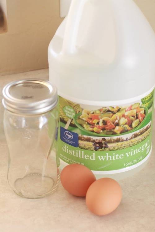 Disappearing Egg Experiment – Science for Kids – Green Kid Crafts