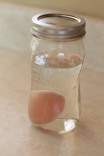 Disappearing Egg Experiment – Science for Kids – Green Kid Crafts