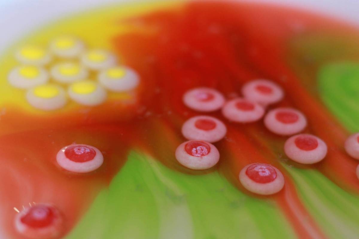Skittles Experiment- Exploring Colors and Patterns – Green Kid Crafts