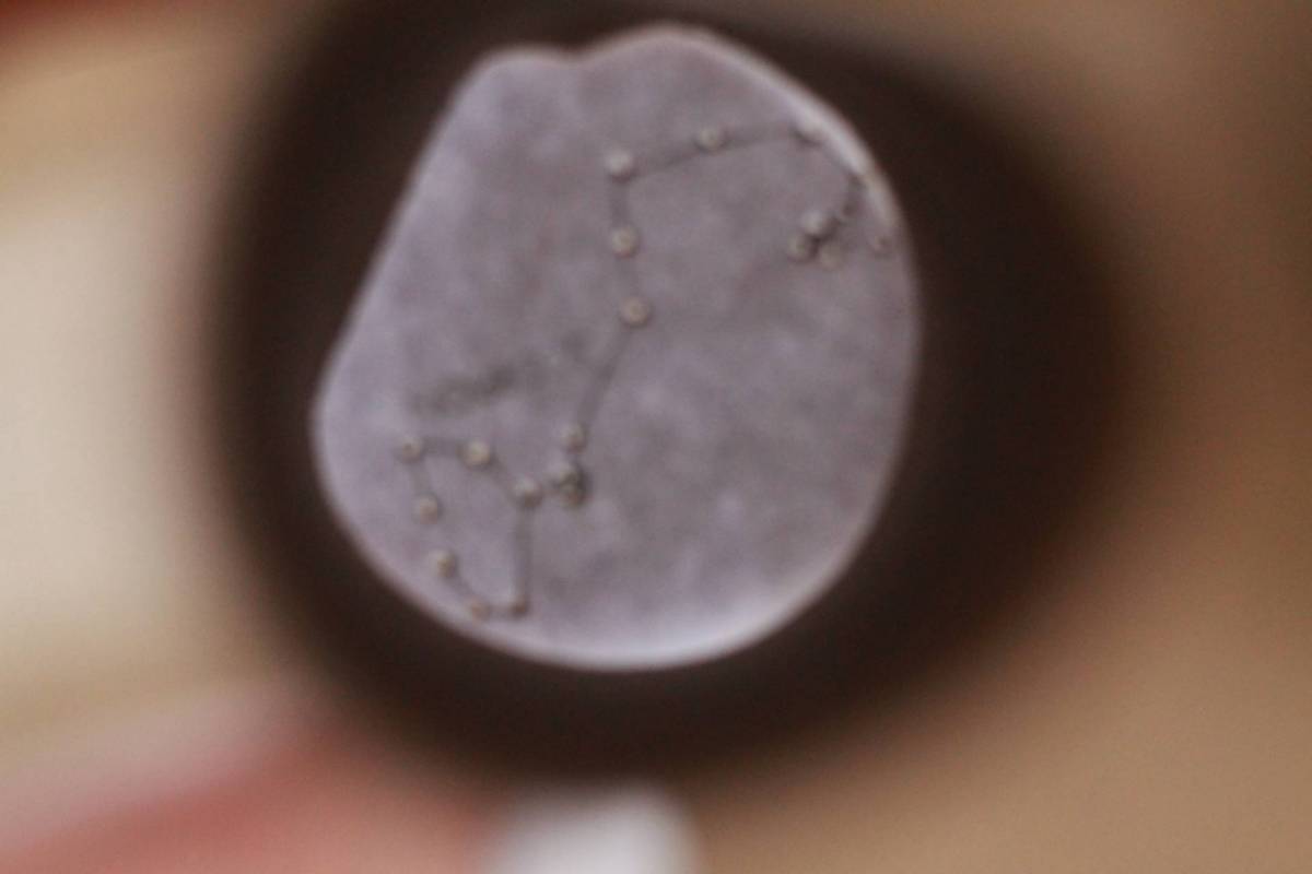 DIY Constellation Projector – Green Kid Crafts