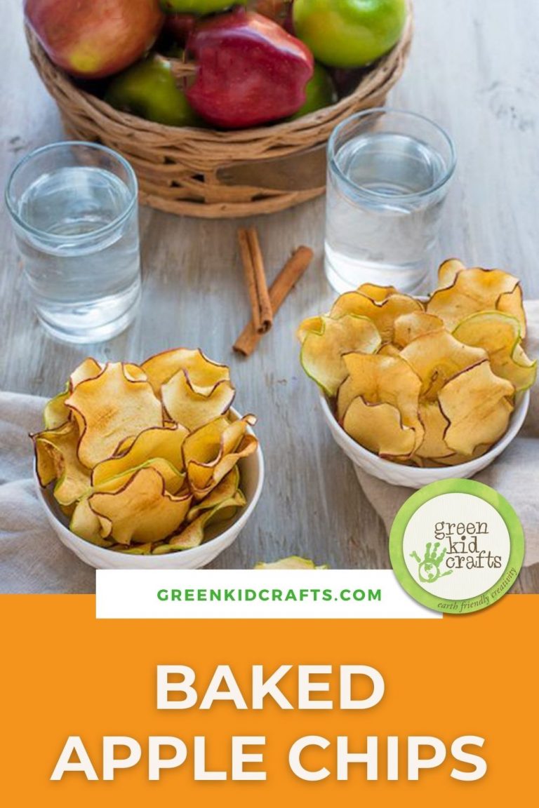 Baked Apple Chips – Green Kid Crafts