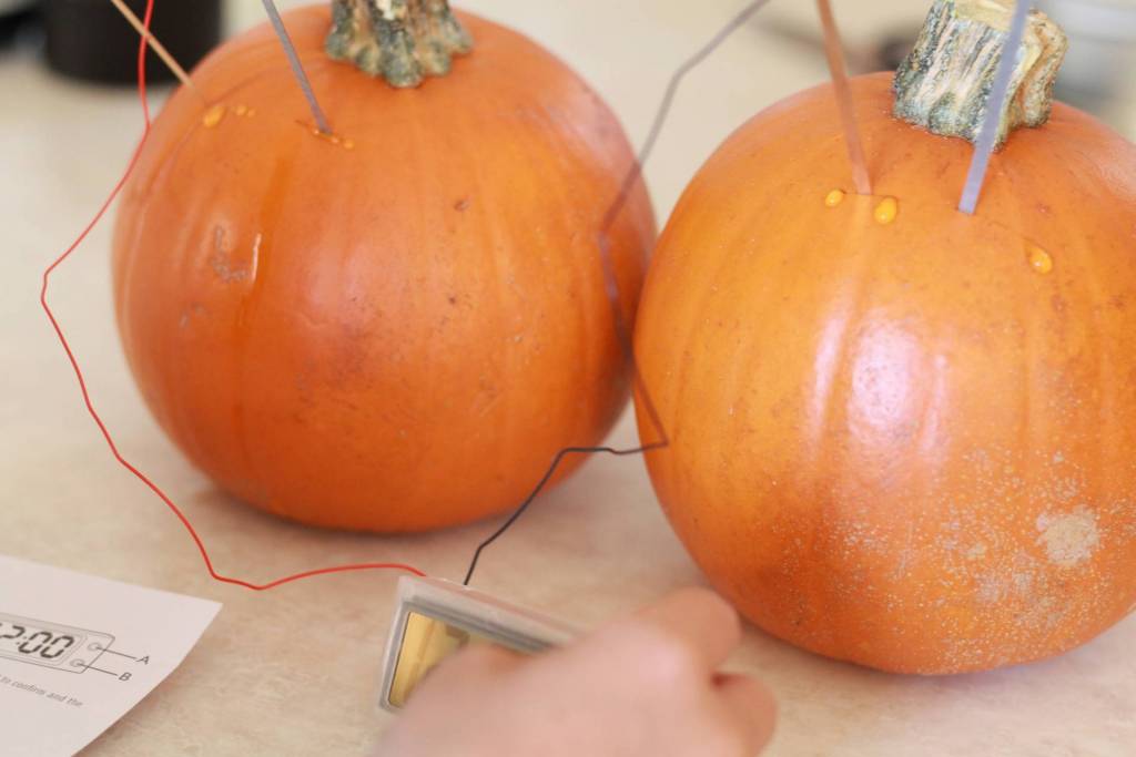 Pumpkin Clock – Green Kid Crafts