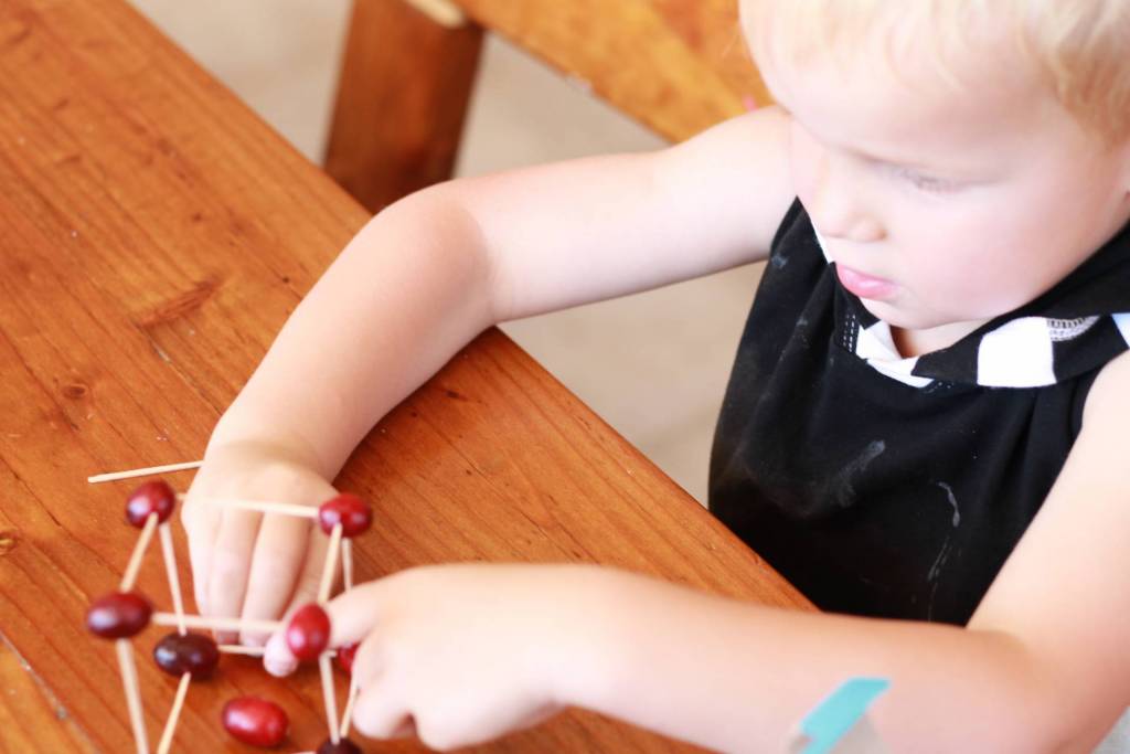 Cranberry Engineering – Green Kid Crafts