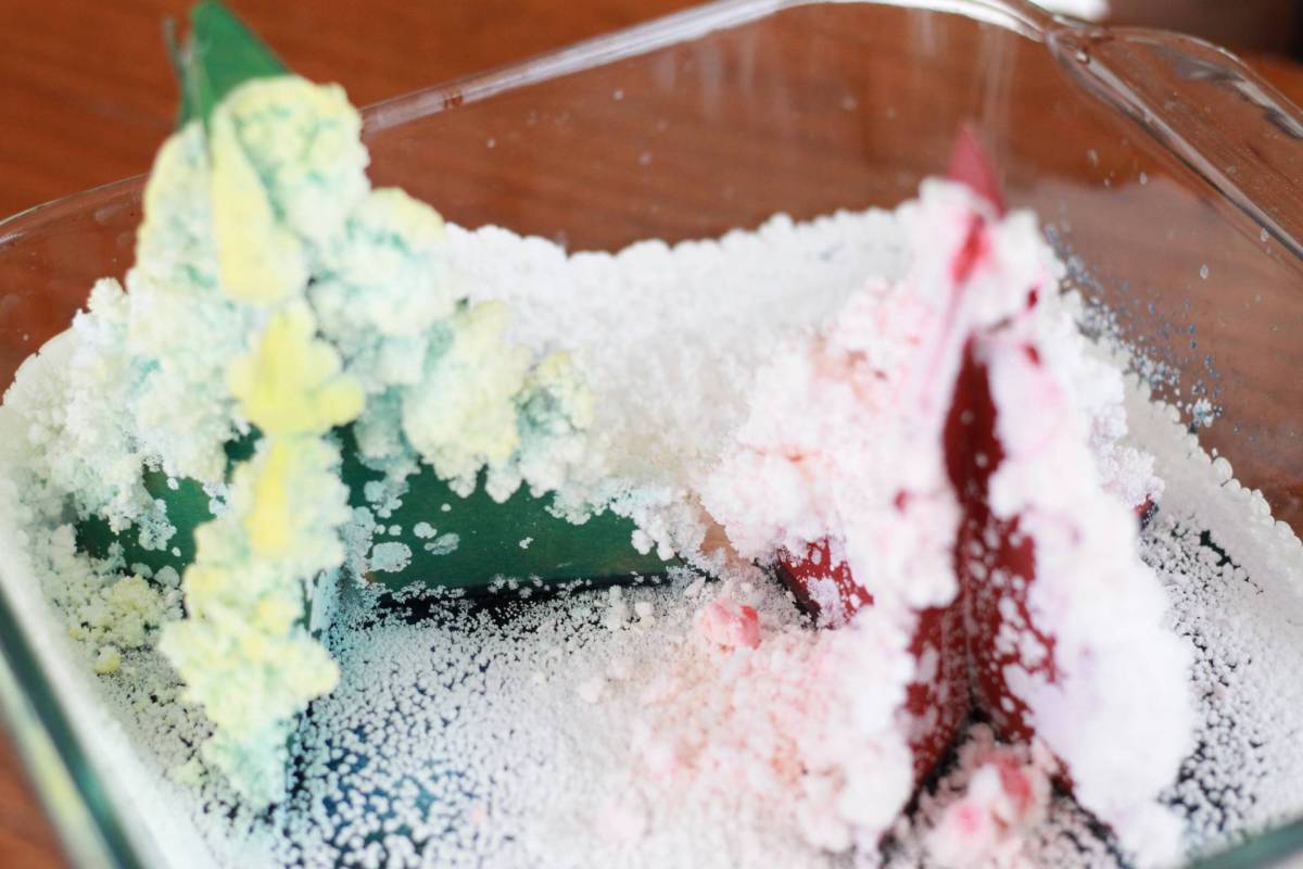 Crystal Christmas Trees – Green Kid Crafts