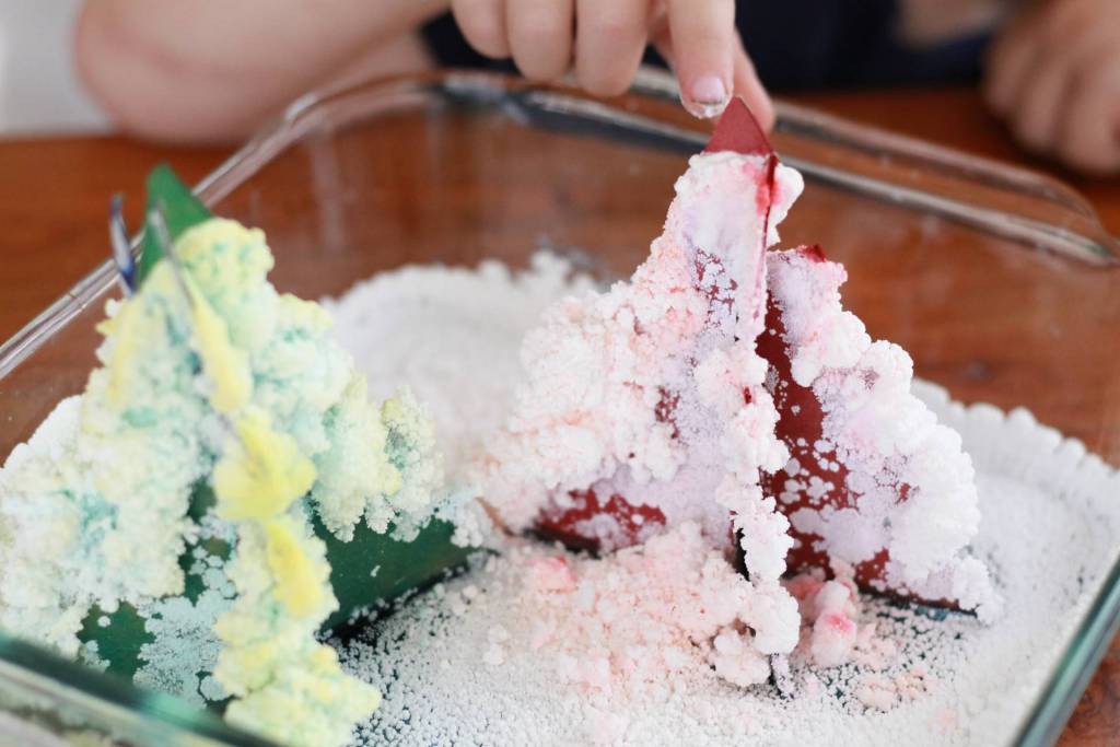 Crystal Christmas Trees – Green Kid Crafts