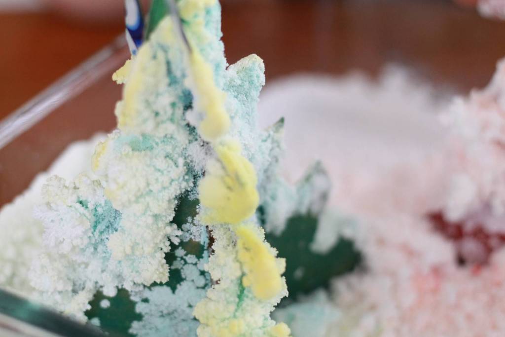 Crystal Christmas Trees – Green Kid Crafts