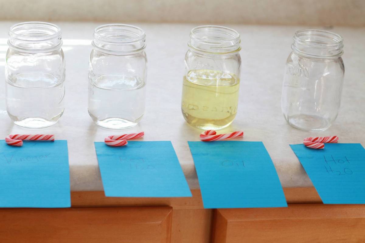Dissolving Candy Canes – Green Kid Crafts
