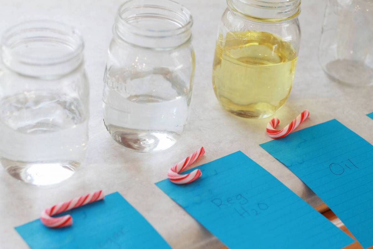 Dissolving Candy Canes – Green Kid Crafts