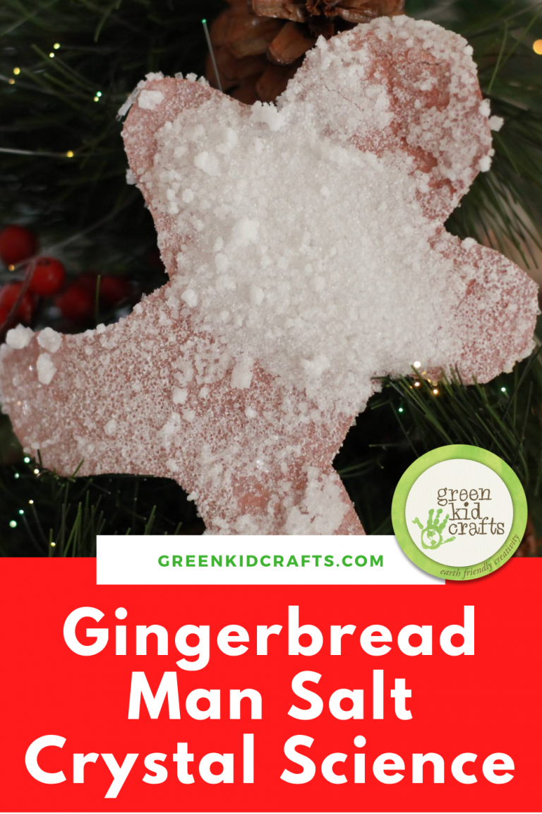 Gingerbread Man Salt Crystal Science – Green Kid Crafts