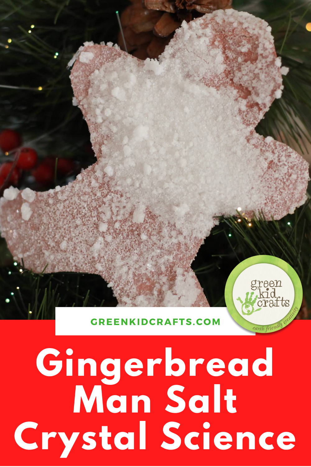 Gingerbread Man Salt Crystal Science – Green Kid Crafts