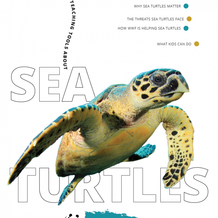 Endangered Animals: Teaching Our Children to Care So They Can Act ...