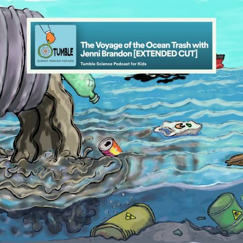 Ocean Pollution Science Fair Projects | Intriguing Experiments