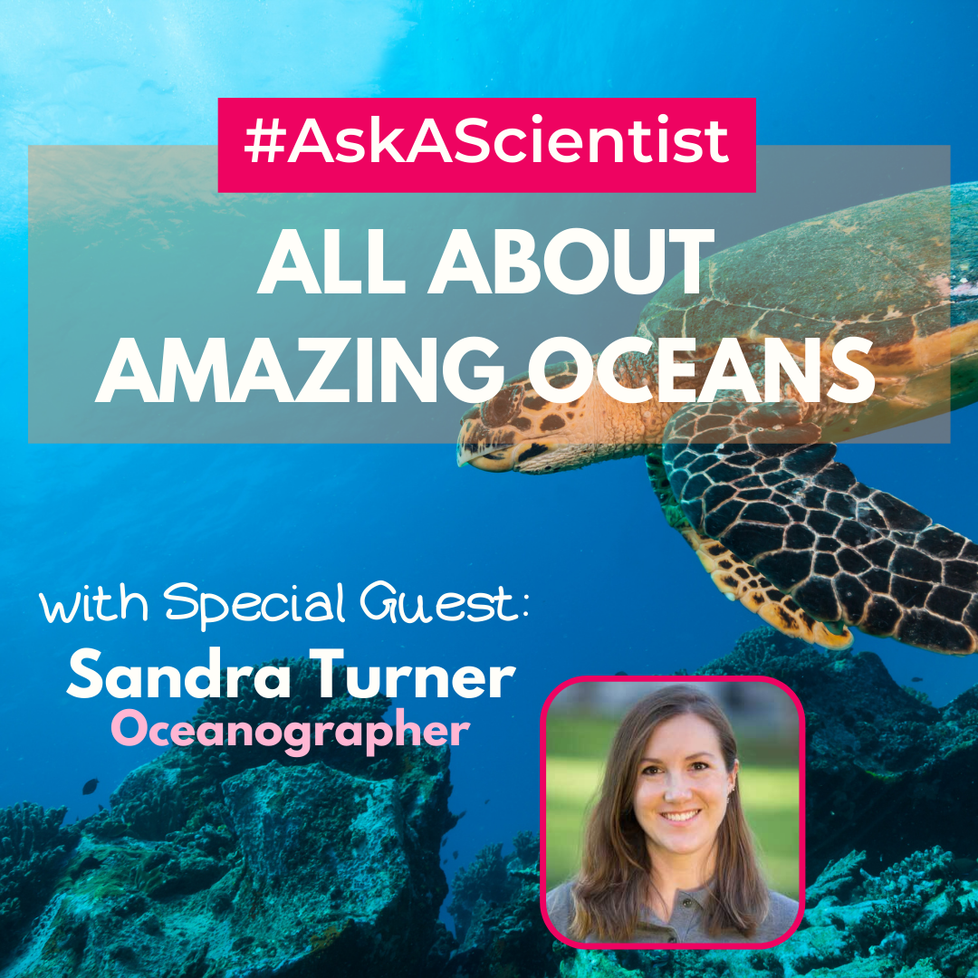 Blog – Green Kid Crafts